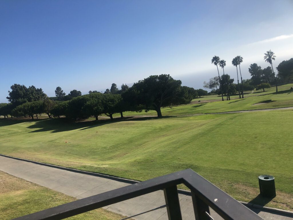 Bermuda Grass: The Staple of Golf Courses - Sway Features